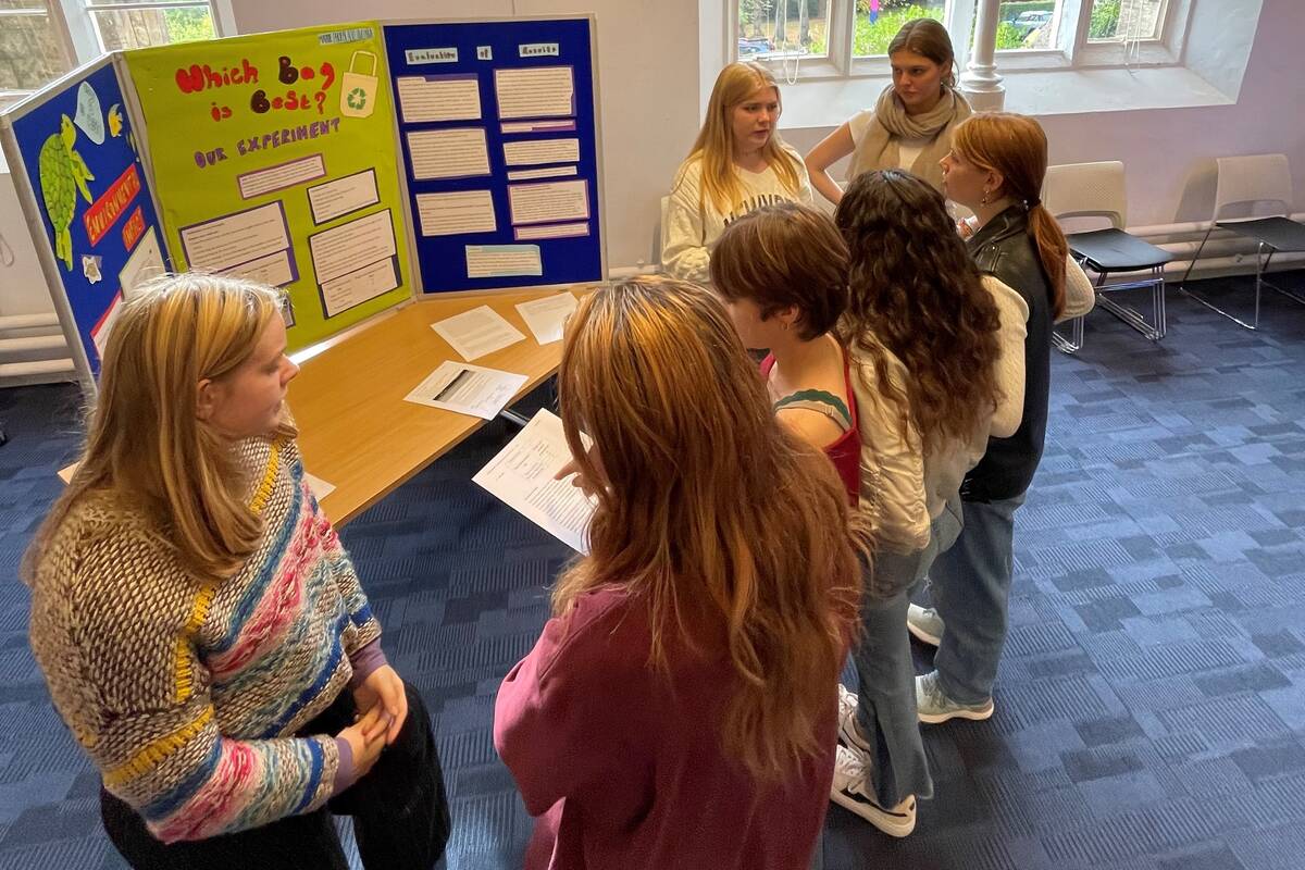 Year 12 and 13 IB students work on collaborative ‘Group 4 Project ...